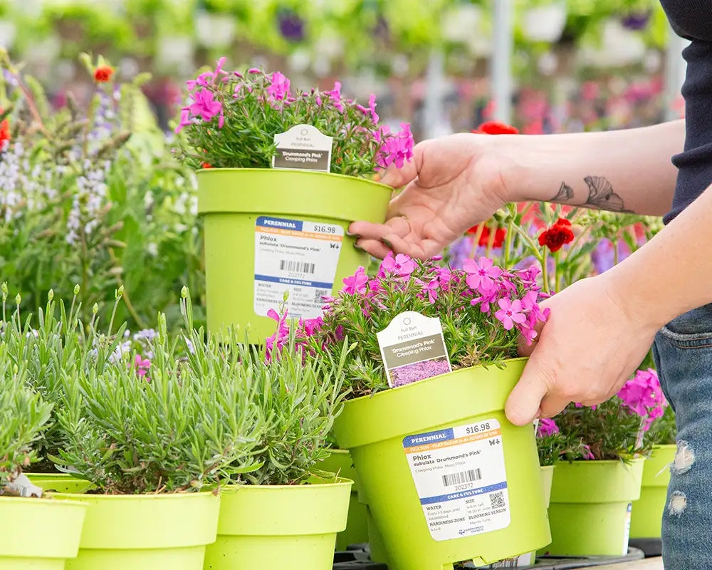 Products – Vandermeer Nursery Ltd